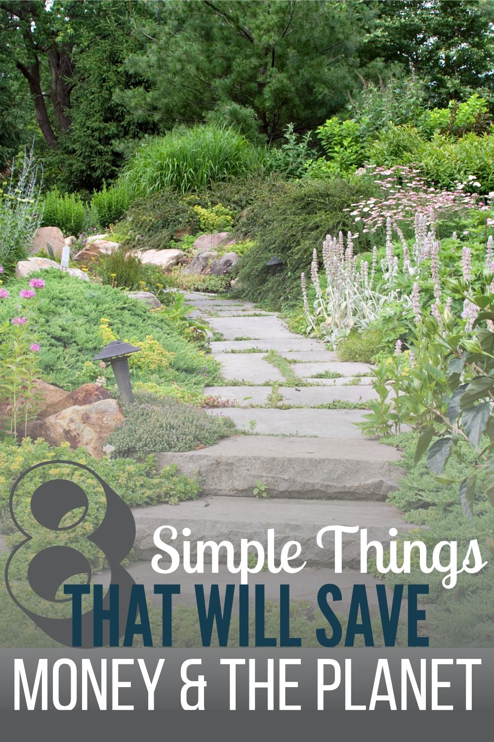 8 Simple Things That Will Save Money and the Planet - Agape Investing
